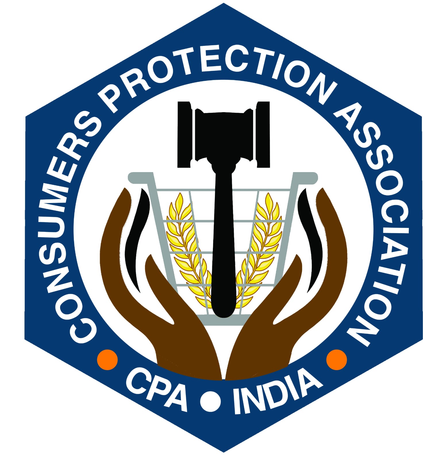 Indian Consumer Protection Logo The Aware Consumer State Awards 2020